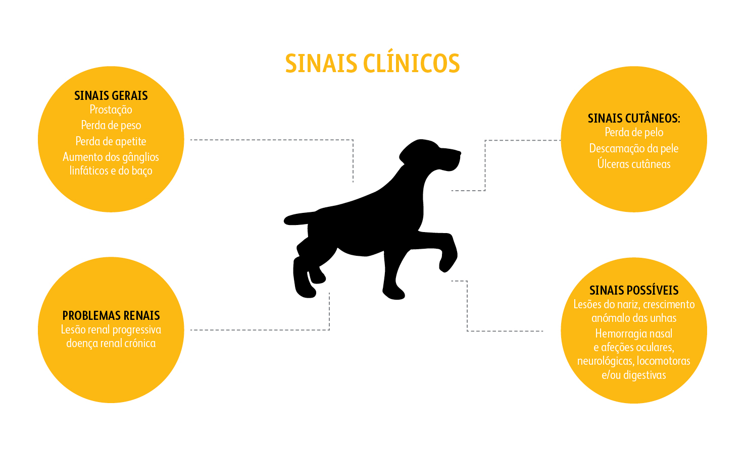 Quais são os sinais clínicos?